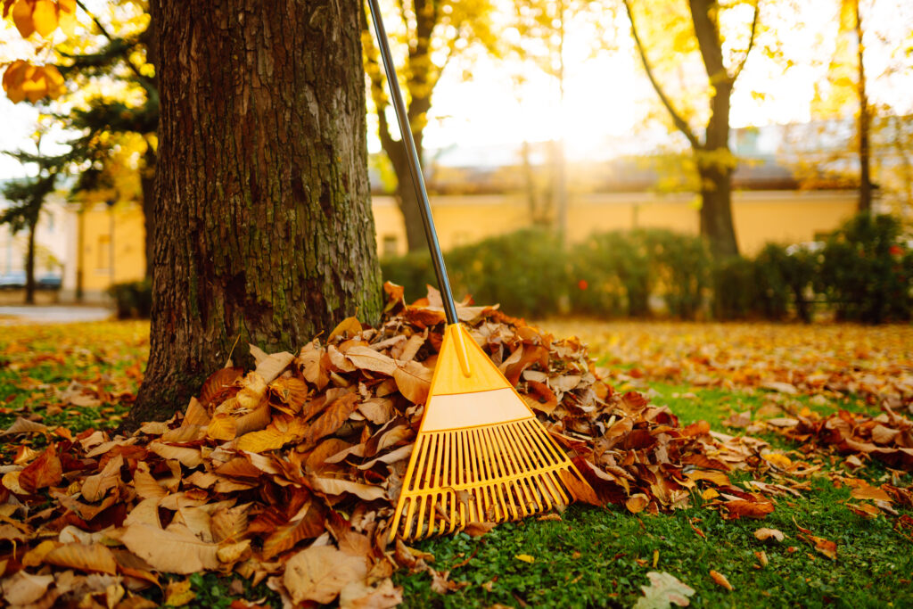 Lawn & Landscaping Maintenance - J & J Landscaping